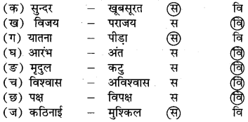 UP Board Solutions for Class 5 Hindi Kalrav Chapter 3 लाल बहादुर ...
