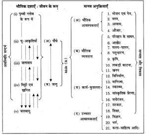 UP Board Solutions for Class 12 Geography Chapter 1 Human Geography ...